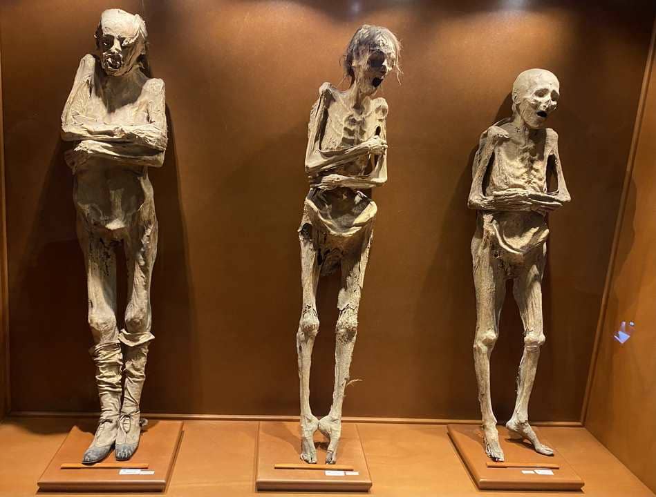 طلسم مومیایی شاید واقعی باشد، البته از نوع قارچی! | گجت نیوز